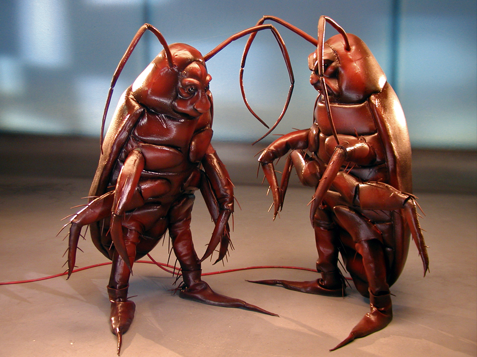Sodapasta Realizaciones - Cockroach Costumes